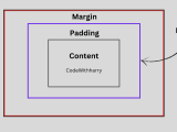 Css Box Model Margin Padding Borders